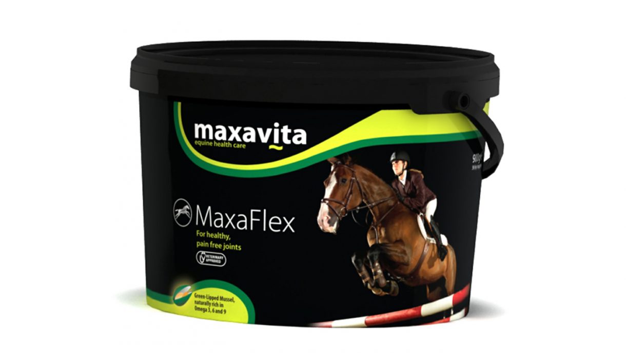 Best joint supplements for horses: what’s on the market?