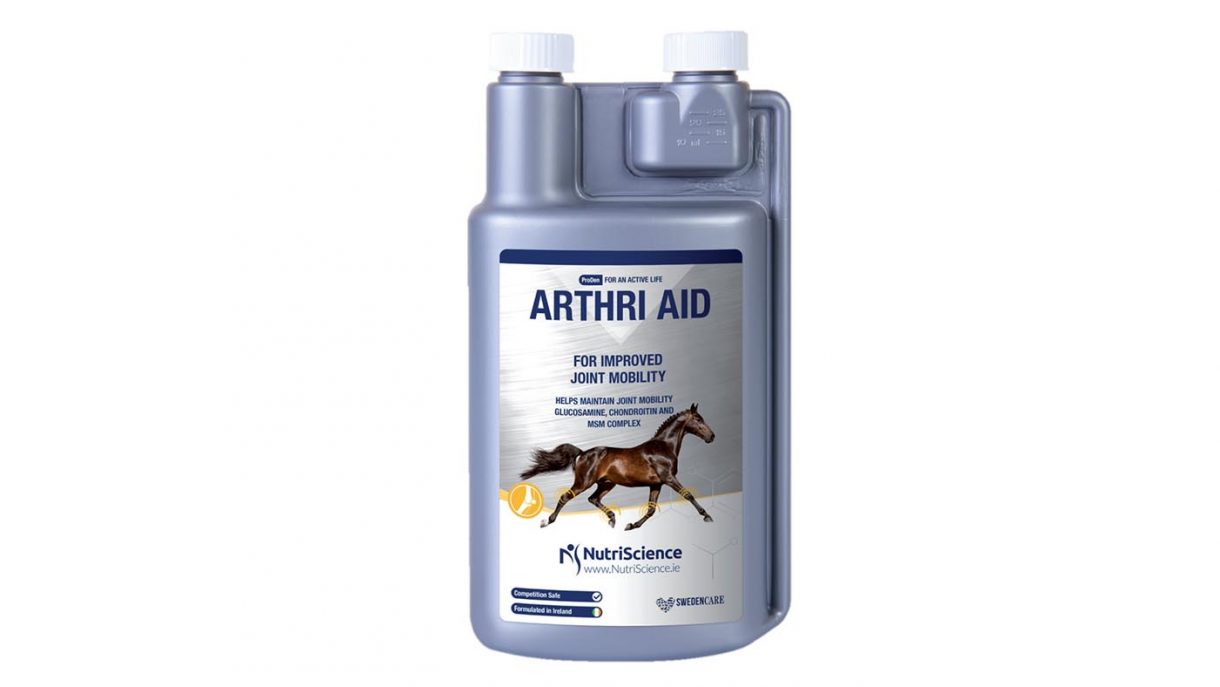 Joint supplements for horses: what’s on the market?