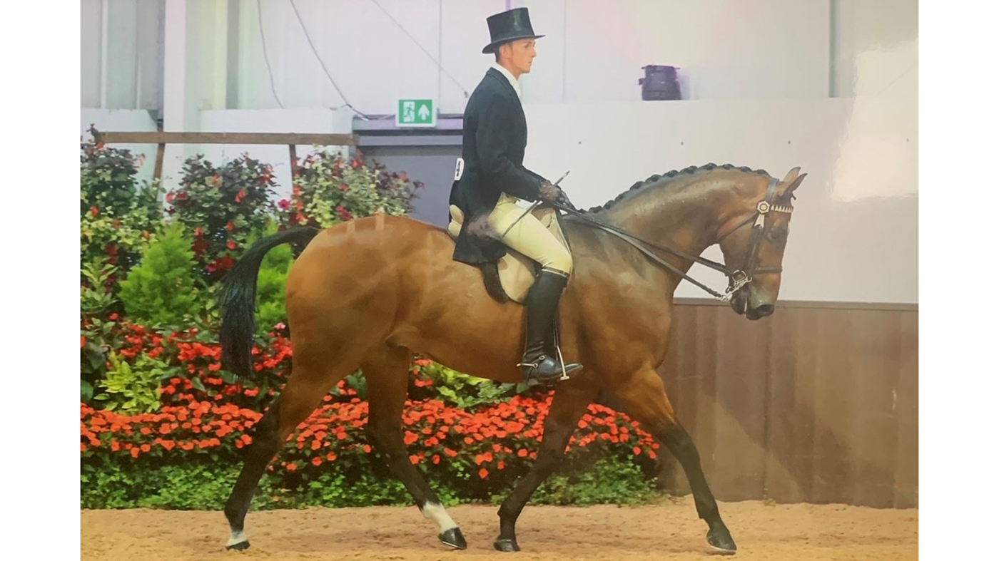 Dan Williams’ showing blog: I can injure myself making a cup of tea ...