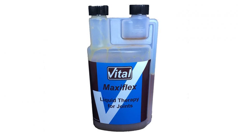 Joint supplements for horses: what’s on the market?