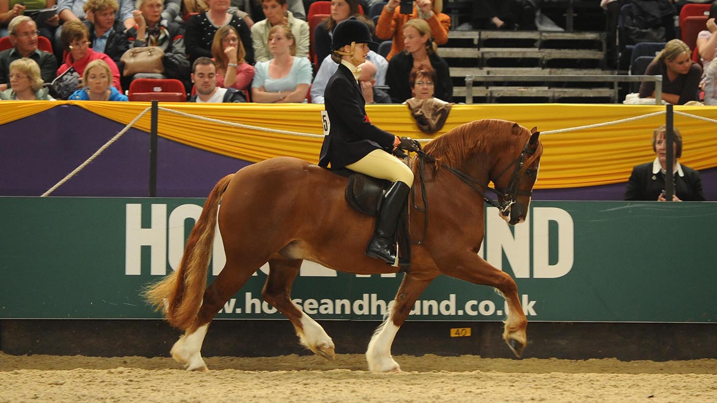 ‘He knew exactly where the grandstand was’: Farewell to HOYS-winning ...