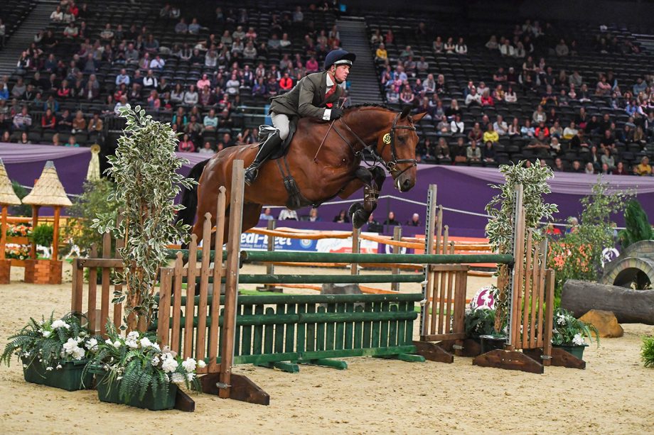 10 wonderful working hunters that flew to the top of the class this ...