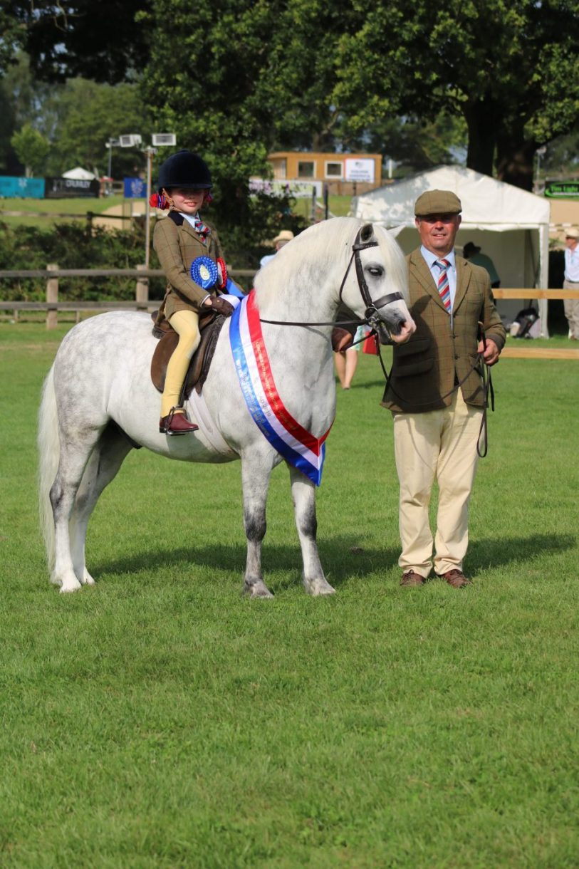 12 marvellous mini ponies who stole the hearts of the judges this show ...