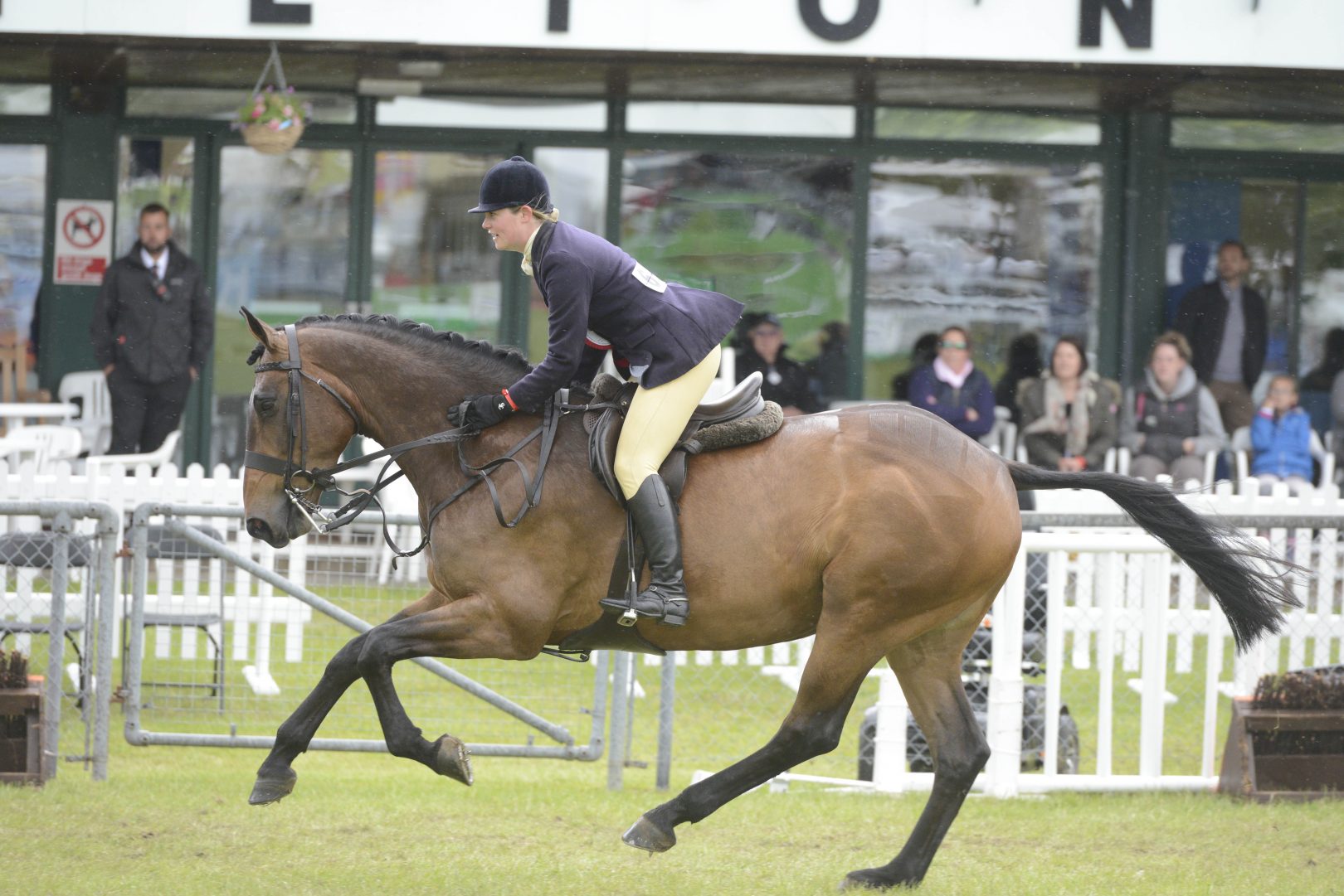 Festive stars: ‘It took me 16 years to win HOYS again’: The versatile ...