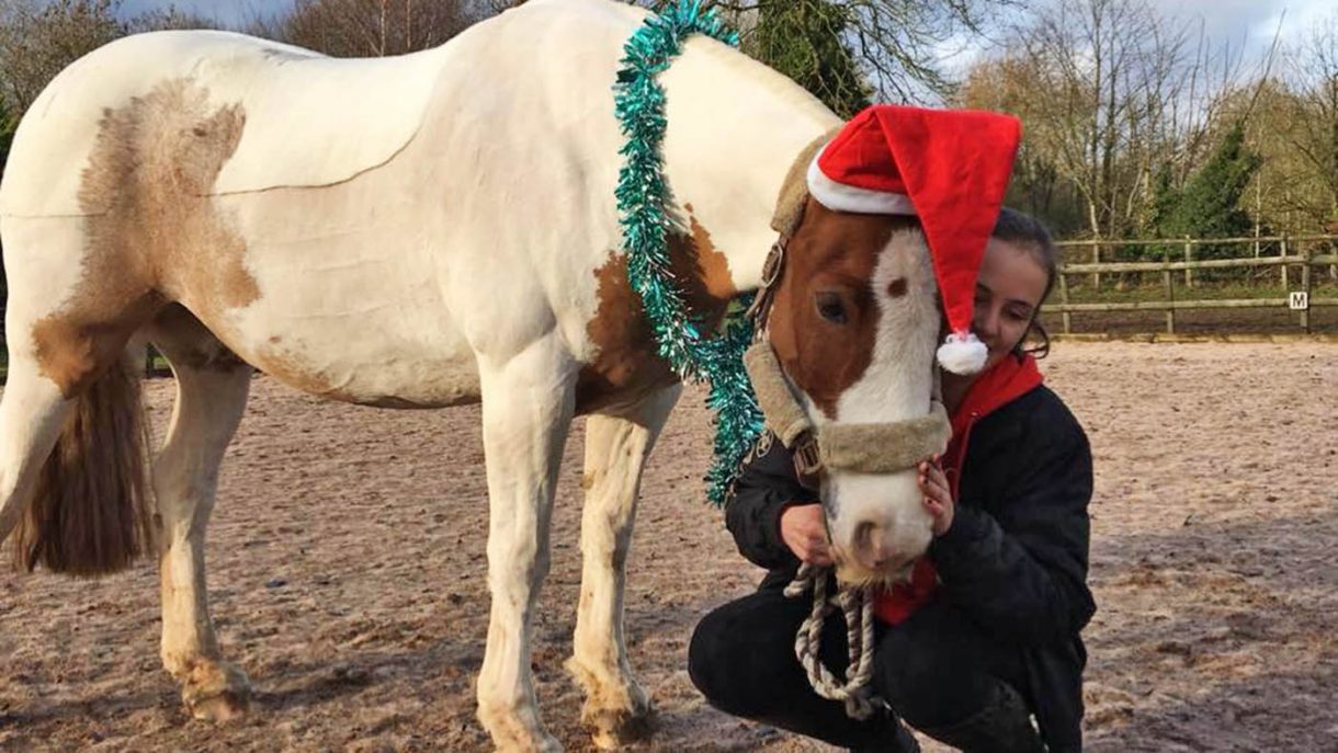 Get into the festive spirit! 17 Christmas fancy dress ideas for riders ...