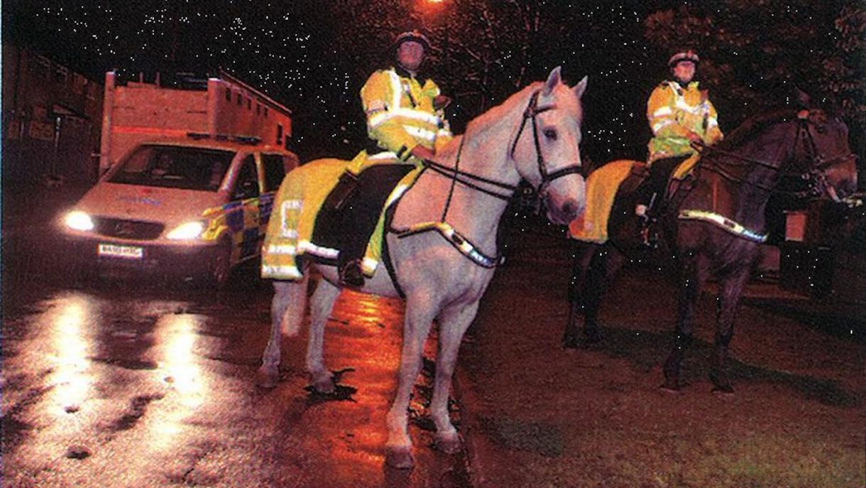 ‘End of an era’: farewell to brave retired police horse who played ...