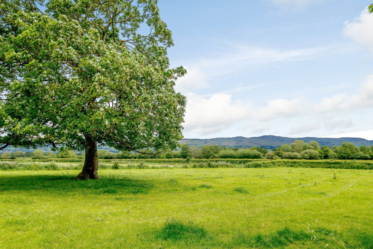 Relocate to this traditional Welsh farmhouse and its five acres, three ...