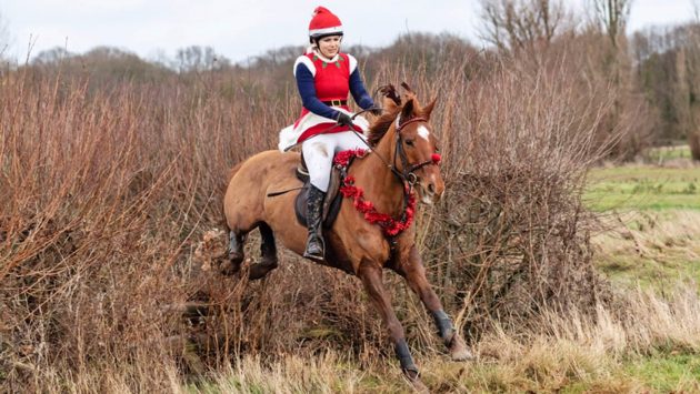 Get into the festive spirit! 17 Christmas fancy dress ideas for riders ...