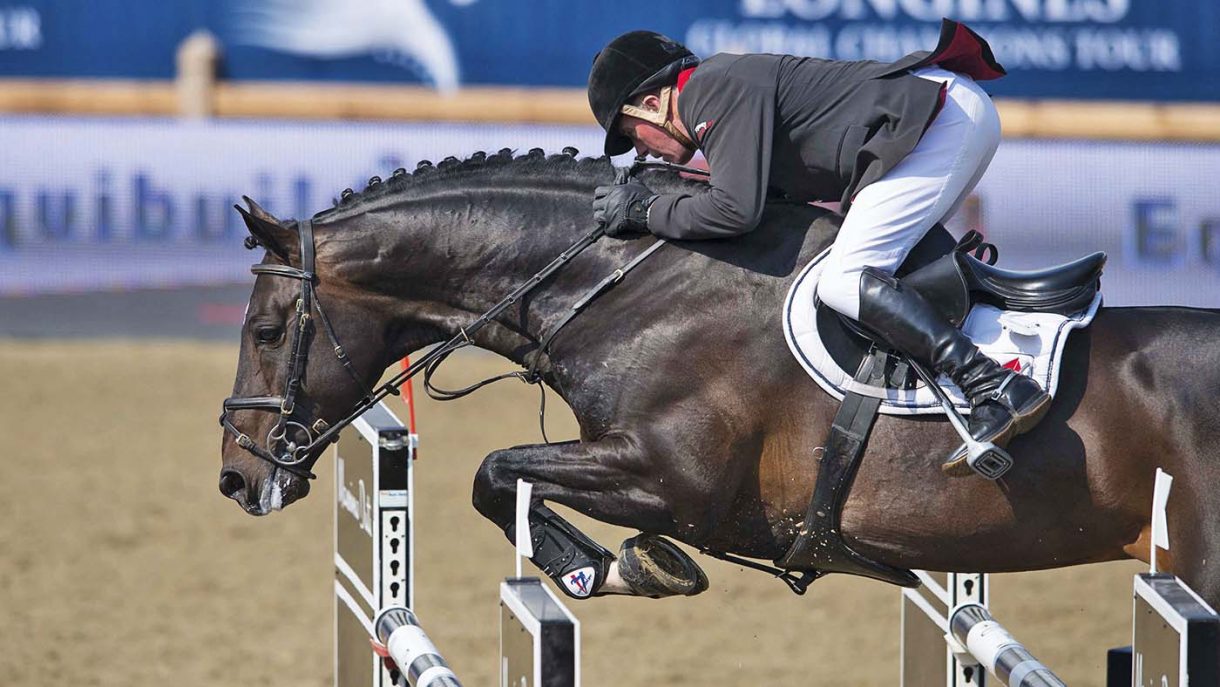 Breeding from older mares – is it a good idea and other helpful advice