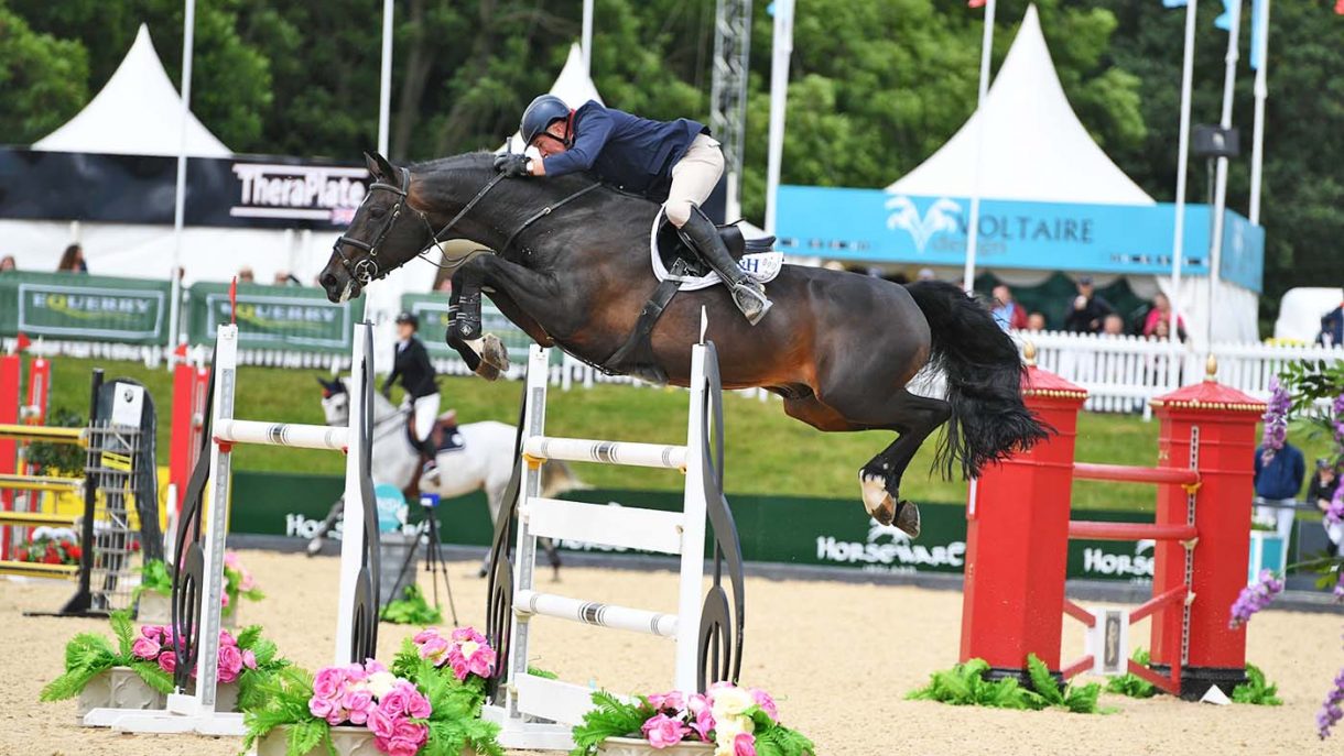 12 reasons John Whitaker and Argento captured our hearts - Horse & Hound