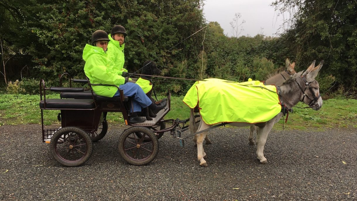 Former pilot famed for solo flights takes on epic donkey adventure ...
