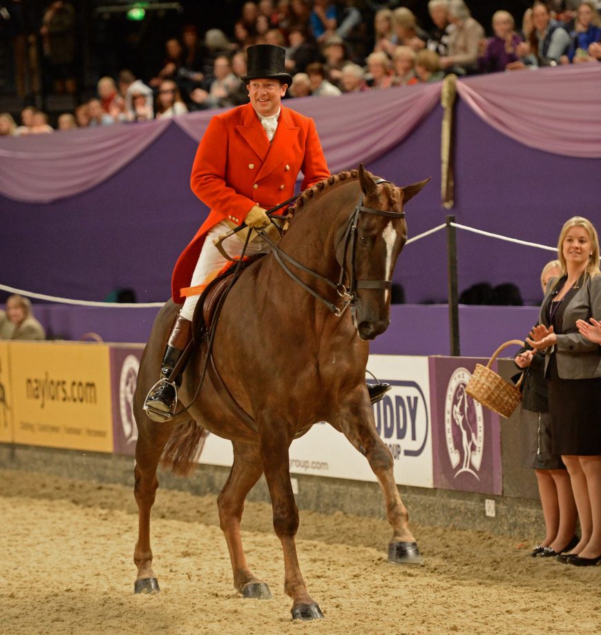 ‘Brave and dignified to the end’: farewell to champion show hunter ...