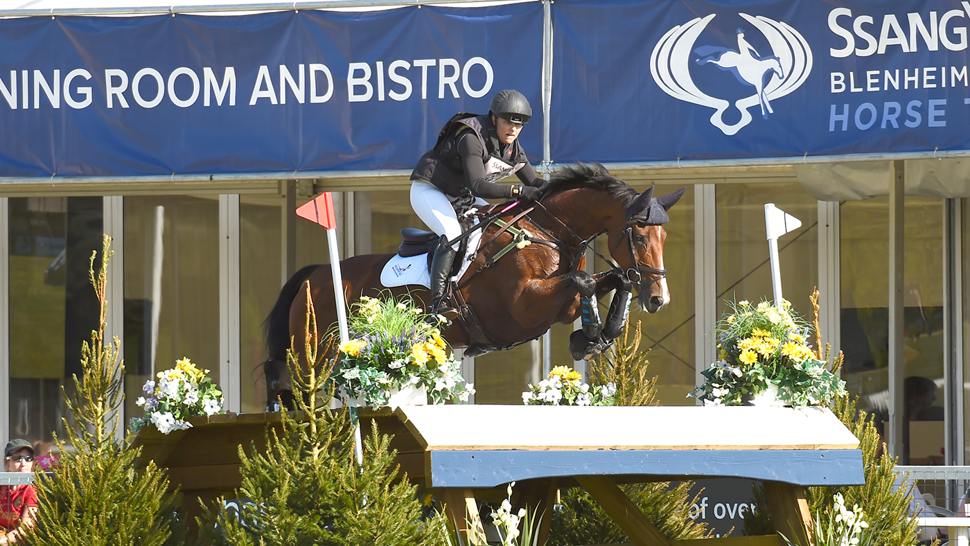 Top horses change hands in time for Tokyo deadline *H&H Plus* - Horse ...