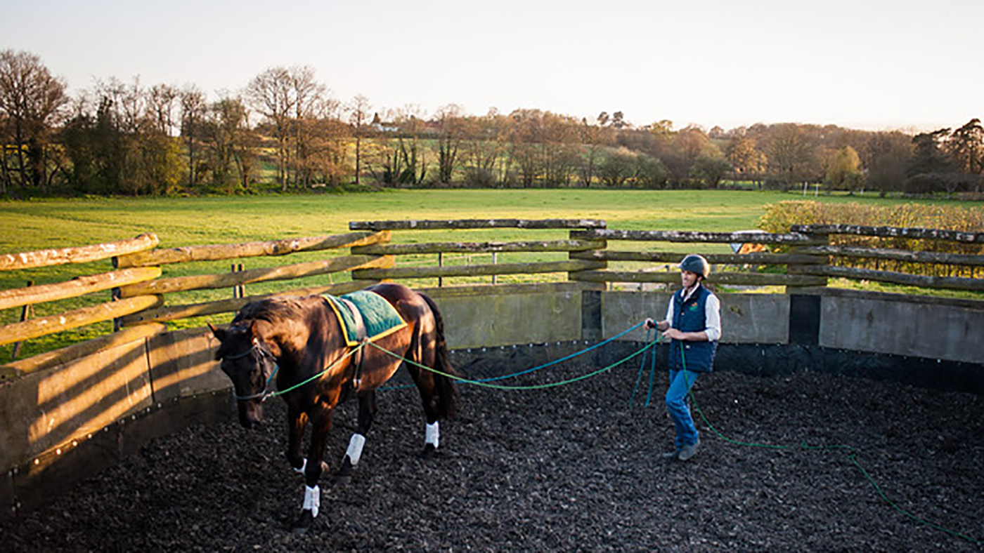 Jason Webb’s blog: ‘bad’ behaviour in horses; is it physical, or is it ...