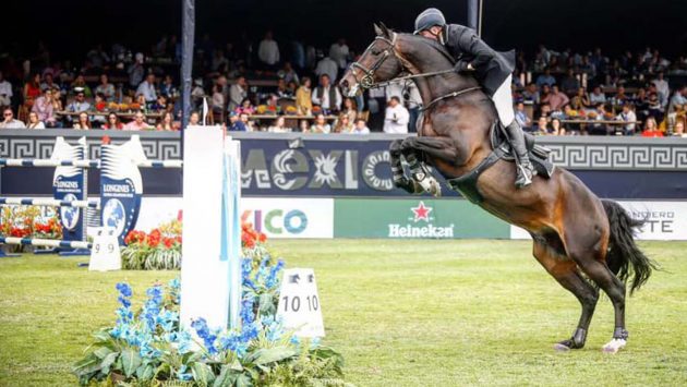 12 reasons John Whitaker and Argento captured our hearts - Horse & Hound