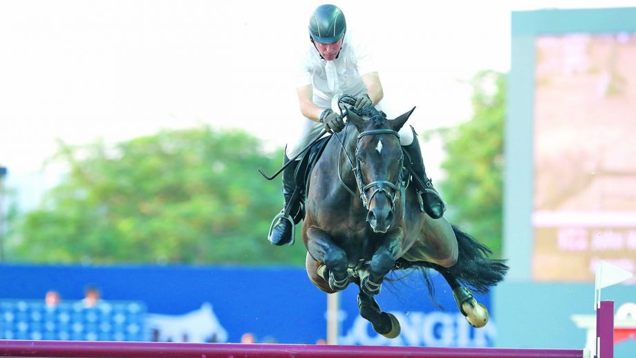 12 reasons John Whitaker and Argento captured our hearts - Horse & Hound