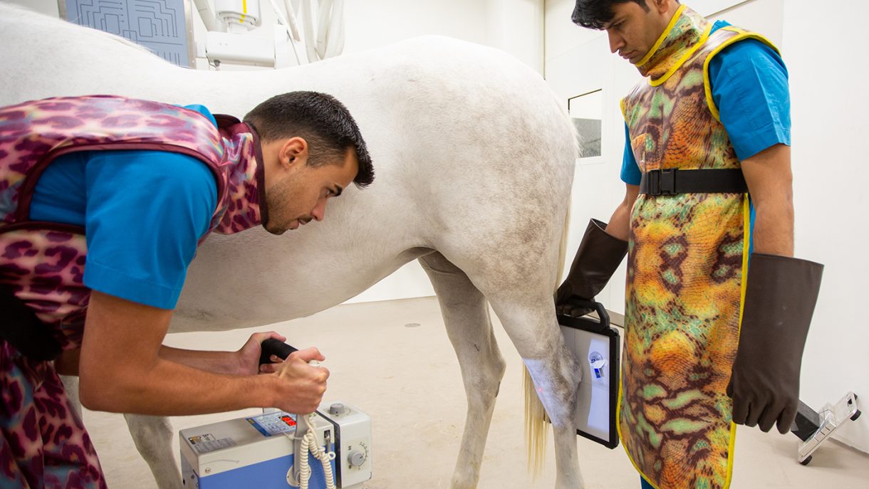 Take a look around Doha’s ground-breaking new veterinary centre - Horse & Hound