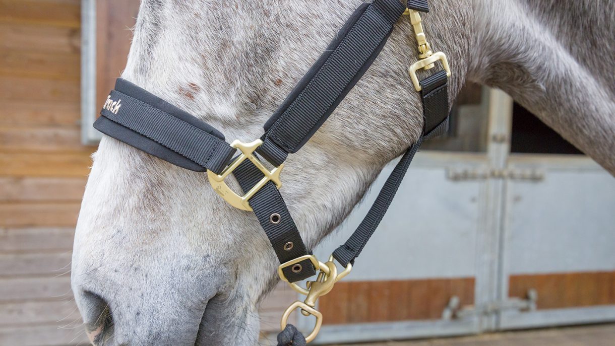 Back on Track Werano halter review | Horse & Hound