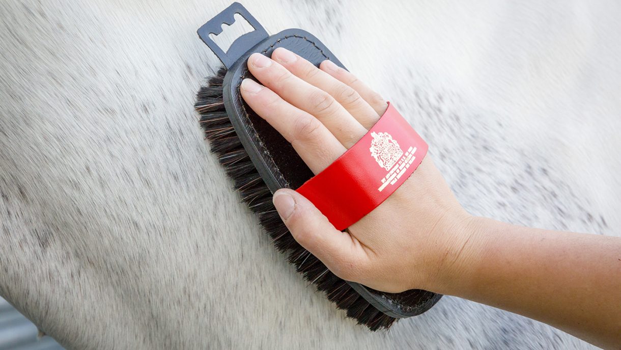 Equerry Luxury XLH body brush review | Horse & Hound