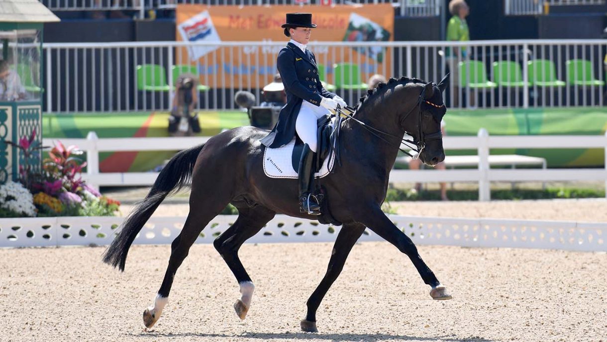 ‘The best horse in the world’: farewell to gold medal-winning stallion ...