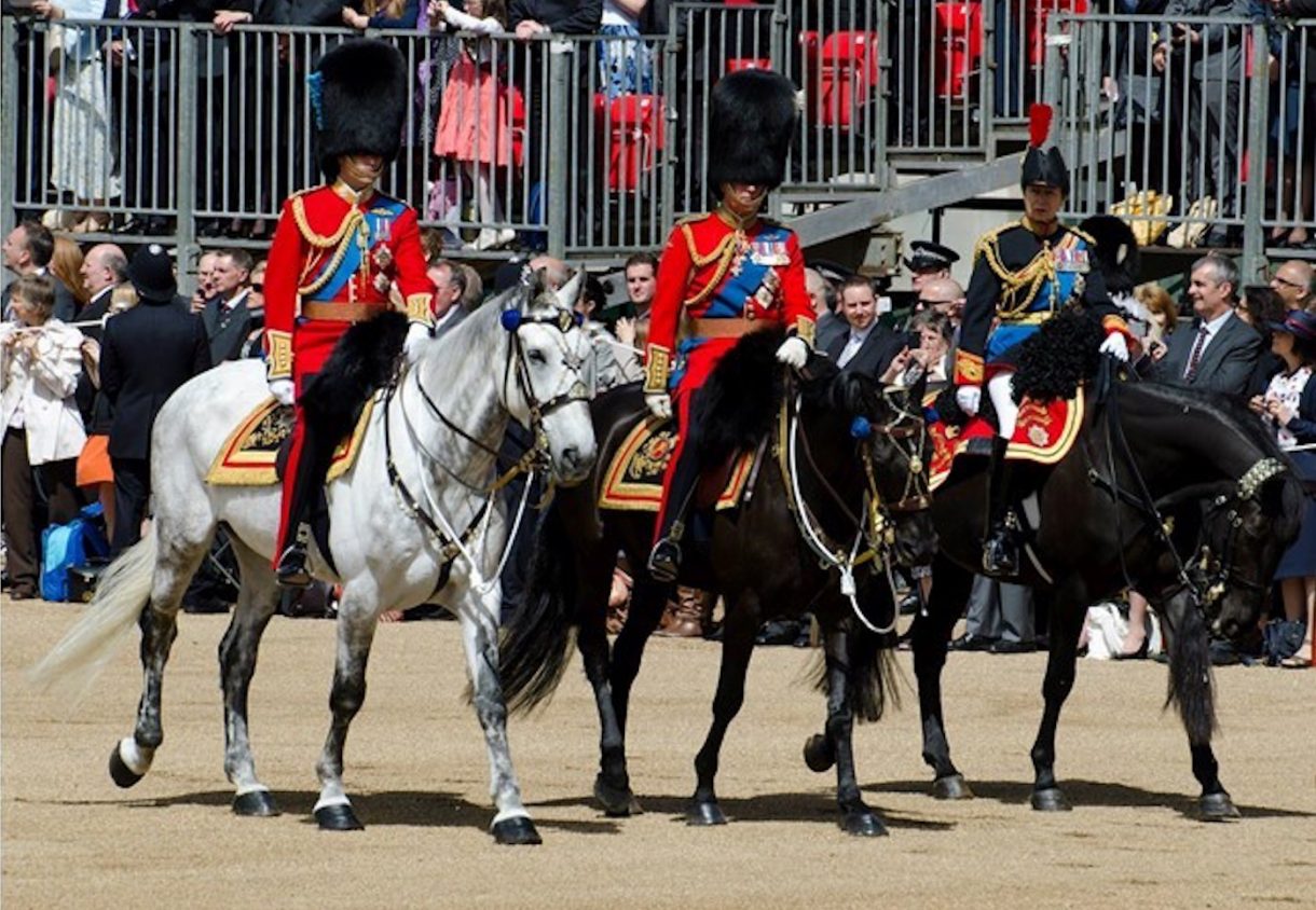 Princess Anne’s eventing career | Horse & Hound’s legends of the sport