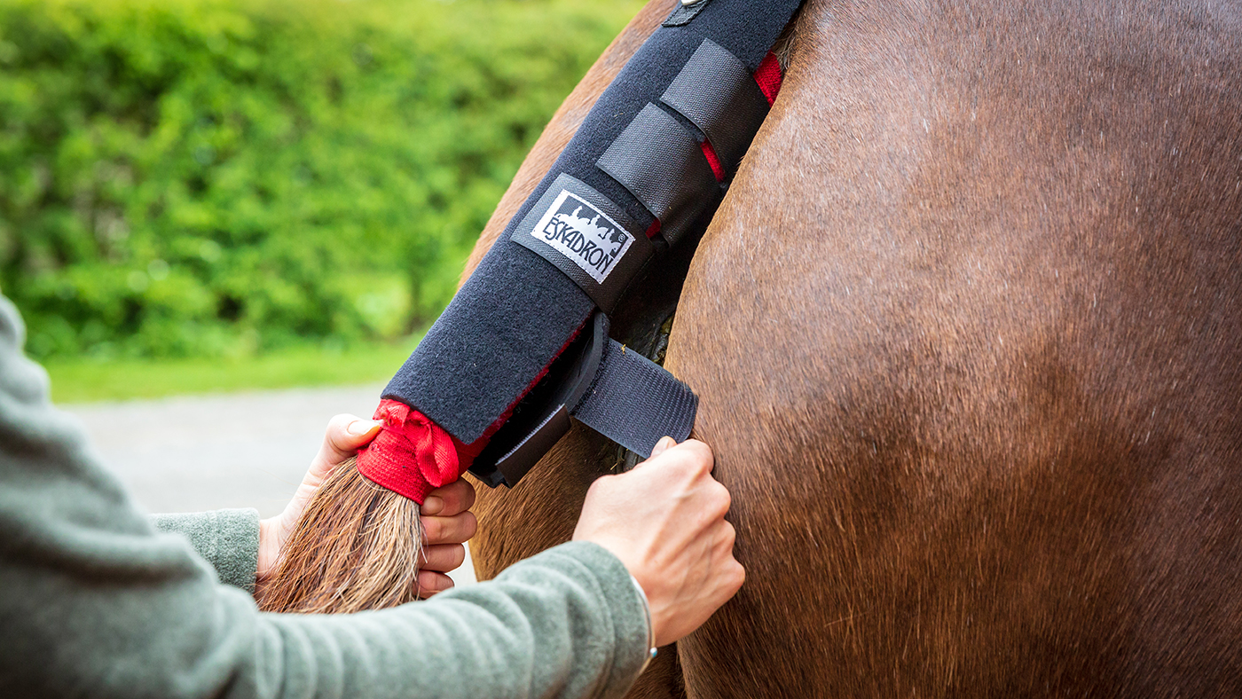 Eskadron tail guard independent review | Horse & Hound