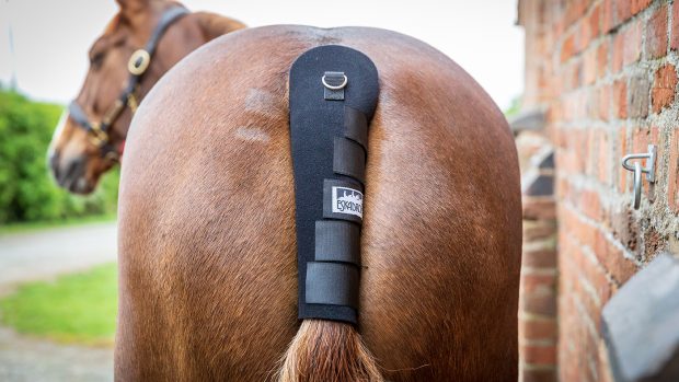 Eskadron tail guard independent review | Horse & Hound