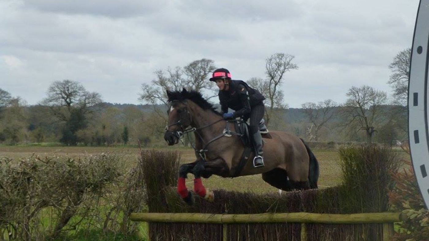 Rider faces surgery after horse chased by out-of-control dogs - Horse ...