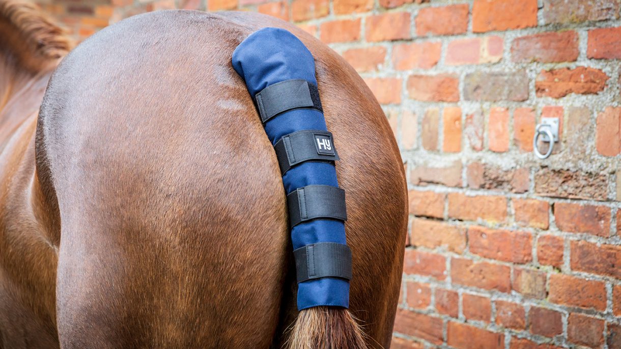Hy padded tail guard independent review | Horse & Hound