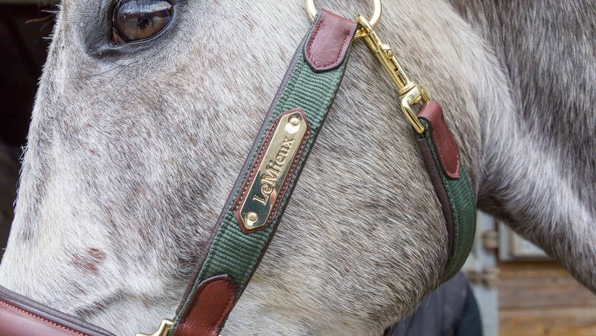 LeMieux Capella headcollar: ‘Everyone on my yard loved this headcollar ...