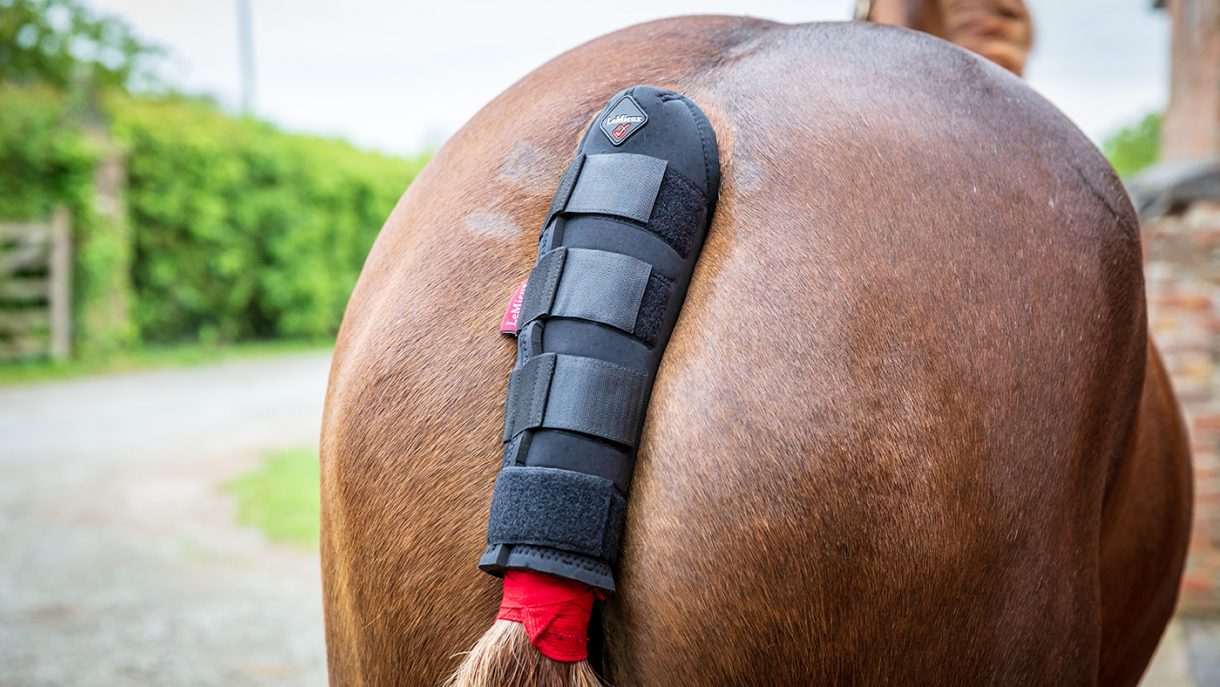 LeMieux tail guard with bag review | Horse & Hound