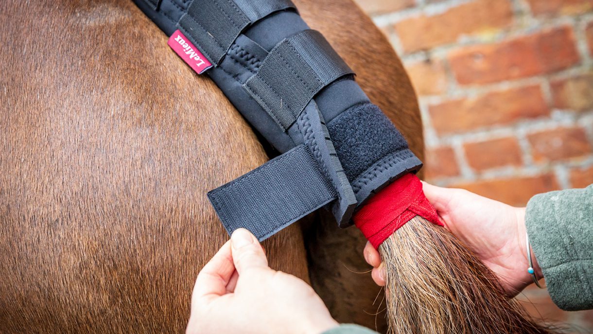 LeMieux tail guard with bag review | Horse & Hound