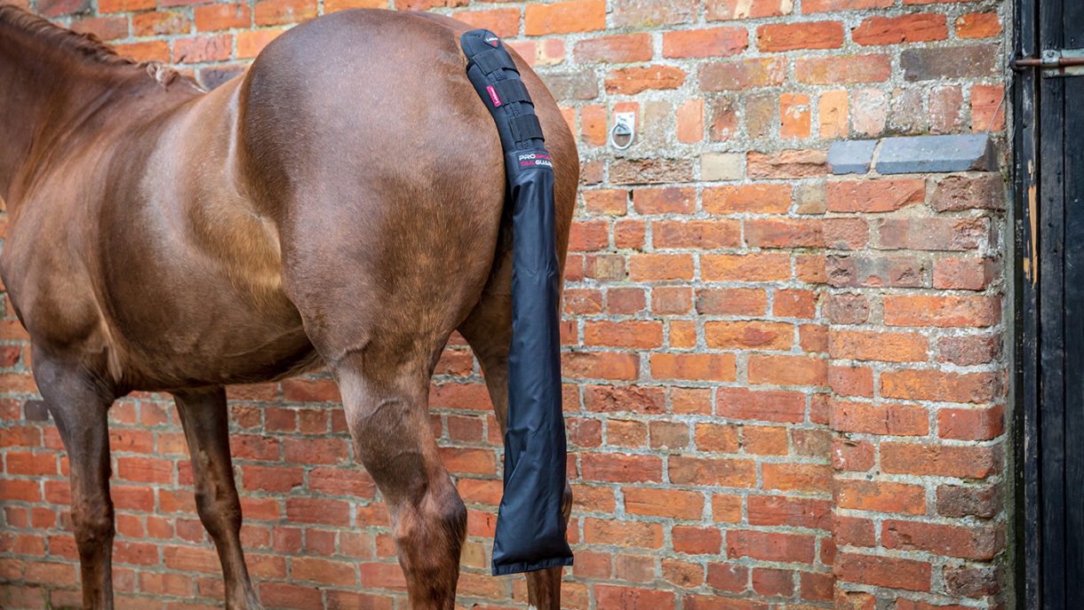 LeMieux tail guard with bag review | Horse & Hound