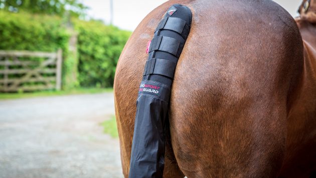 Best tail guards for horses with and without tail bags | Horse & Hound