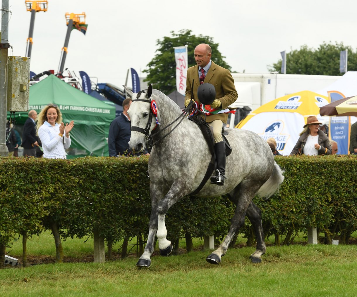 27 stunning show ring moments H&H captured during the 2019 show season ...