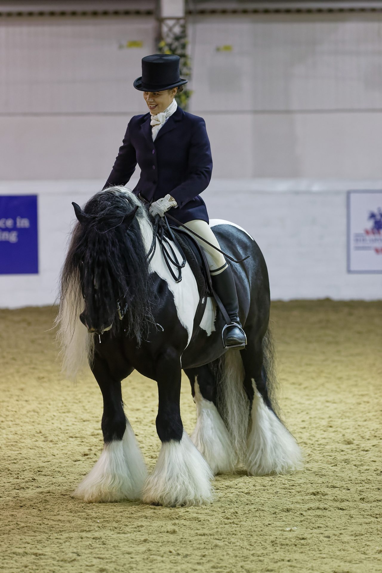 27 stunning show ring moments H&H captured during the 2019 show season ...