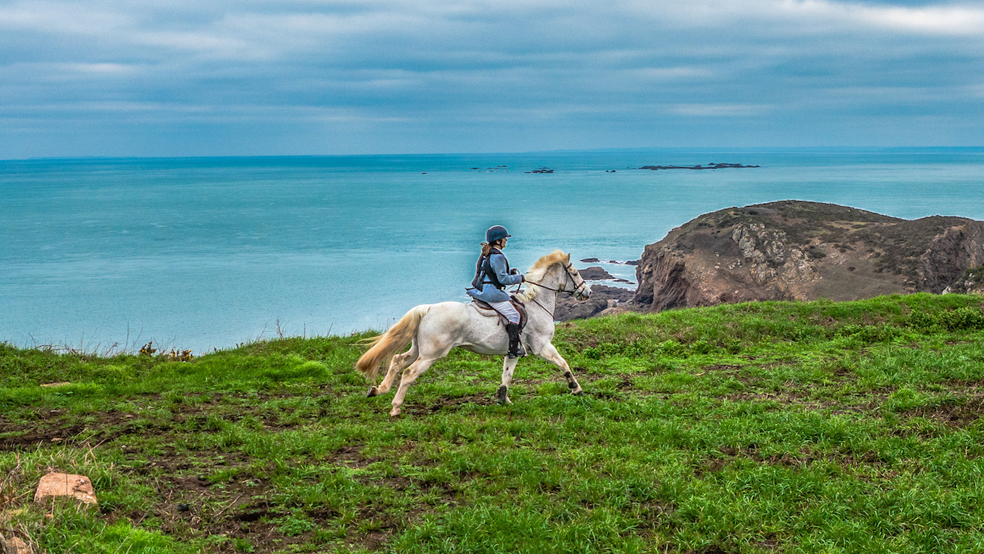 Farewell to superstar hunting pony after 19 straight seasons - Horse ...