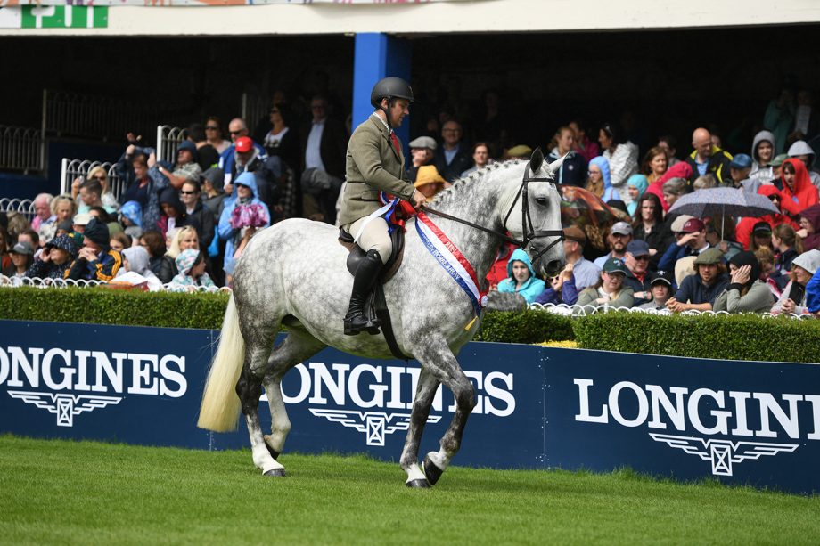 27 stunning show ring moments H&H captured during the 2019 show season ...