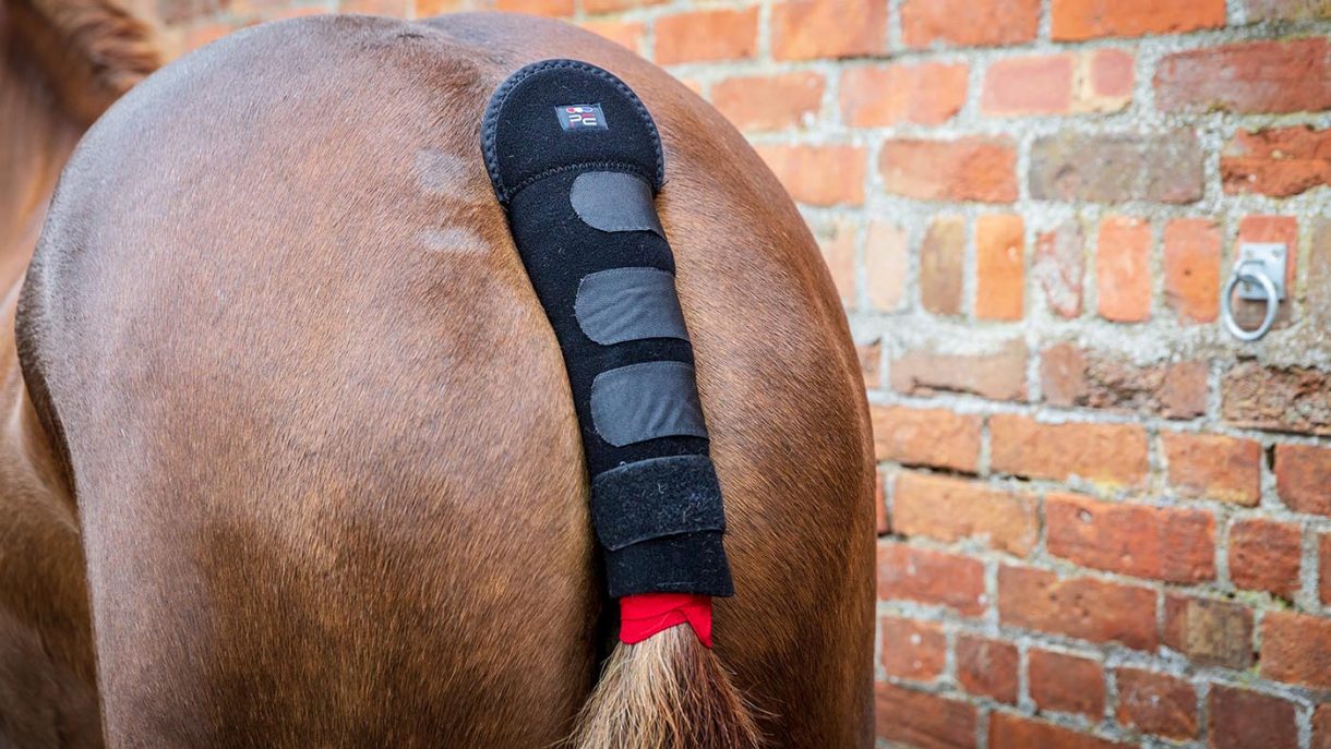Premier Equine tail guard with tail bag review | Horse & Hound