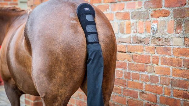 Premier Equine tail guard with tail bag review | Horse & Hound
