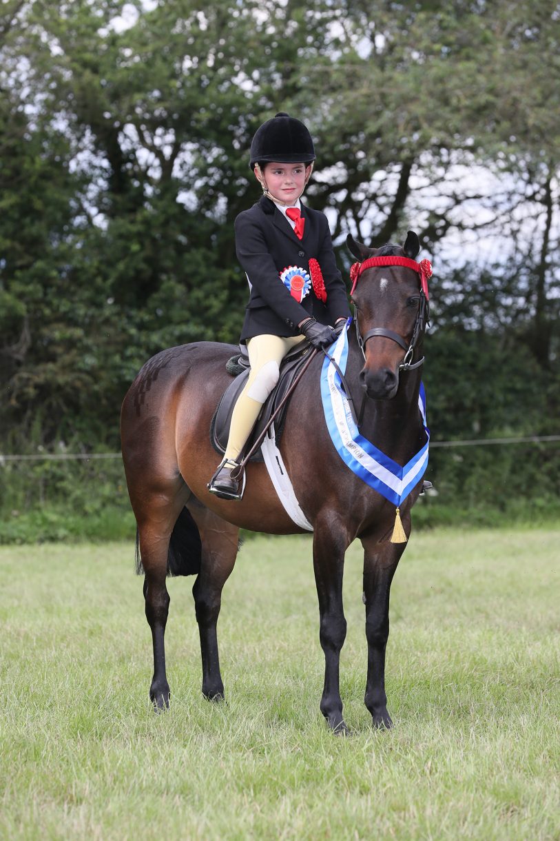 27 stunning show ring moments H&H captured during the 2019 show season ...