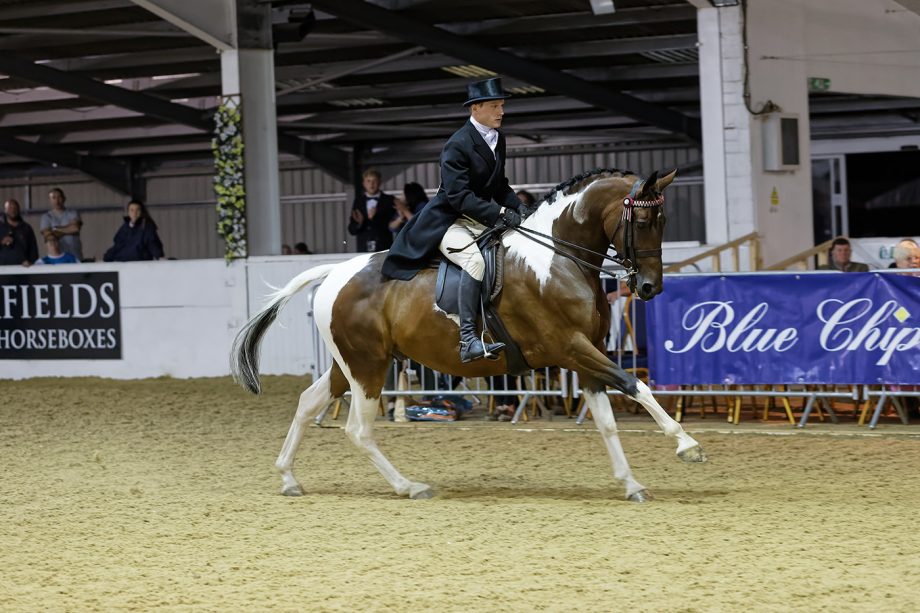 27 stunning show ring moments H&H captured during the 2019 show season ...