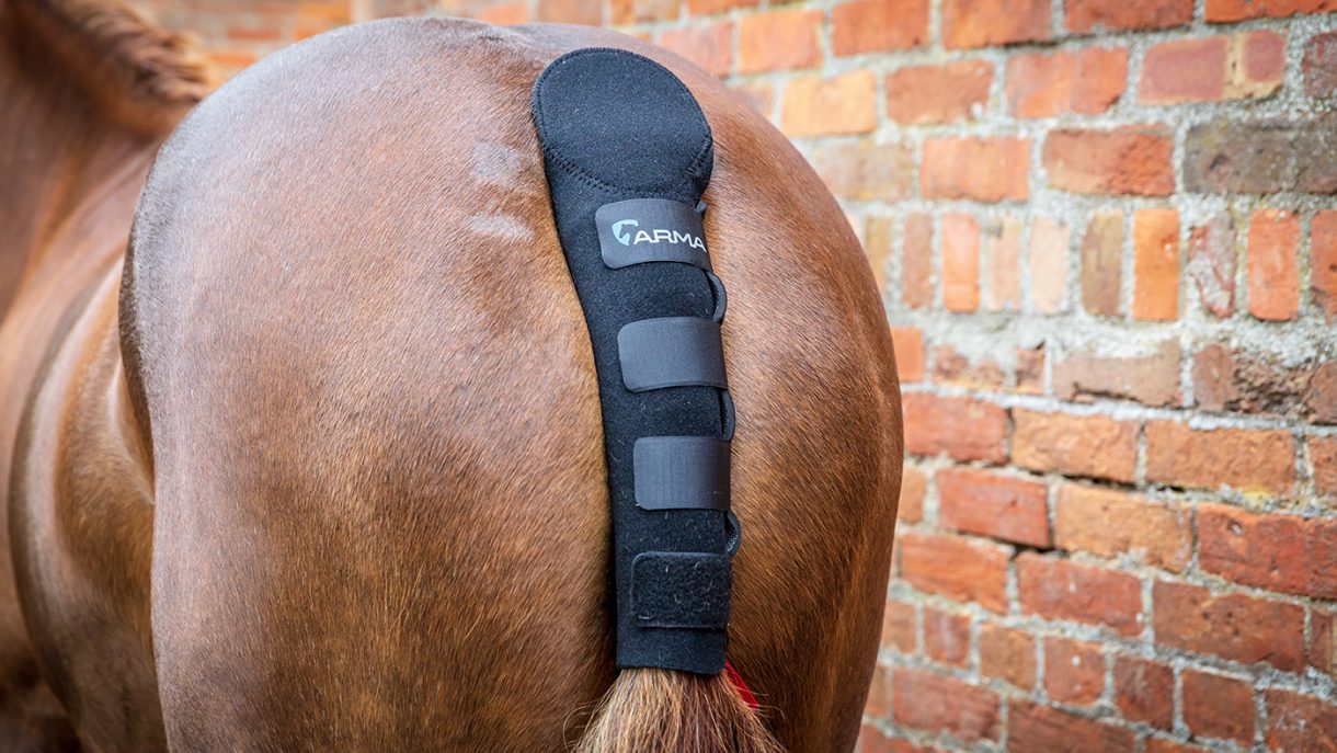 Shires Arma tail guard with detachable tail bag review | Horse & Hound