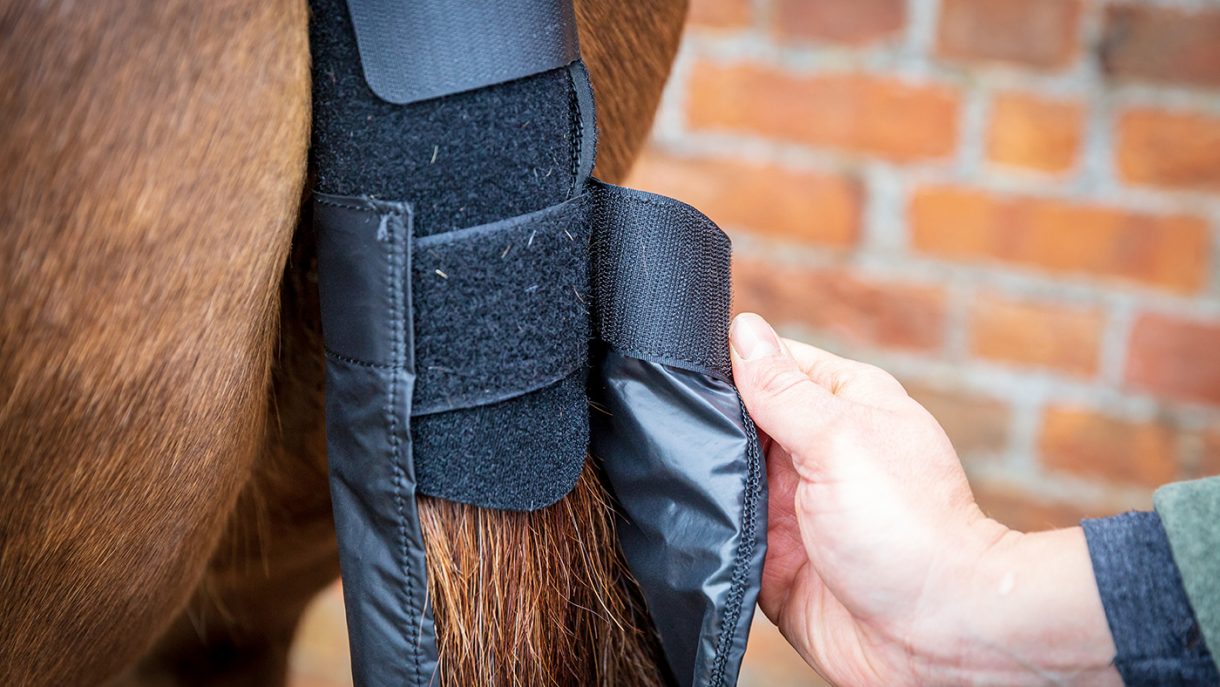 Shires Arma tail guard with detachable tail bag review | Horse & Hound
