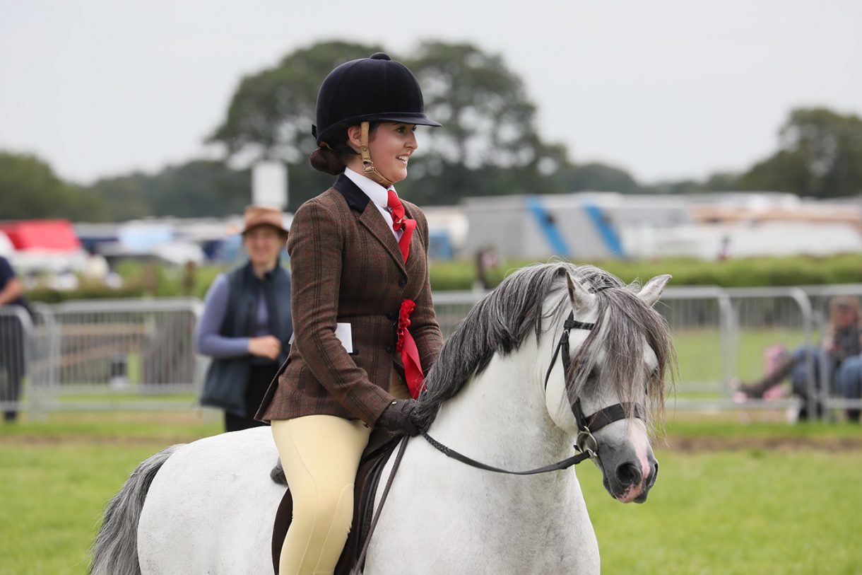 How to show a small breed mountain and moorland pony - Horse & Hound