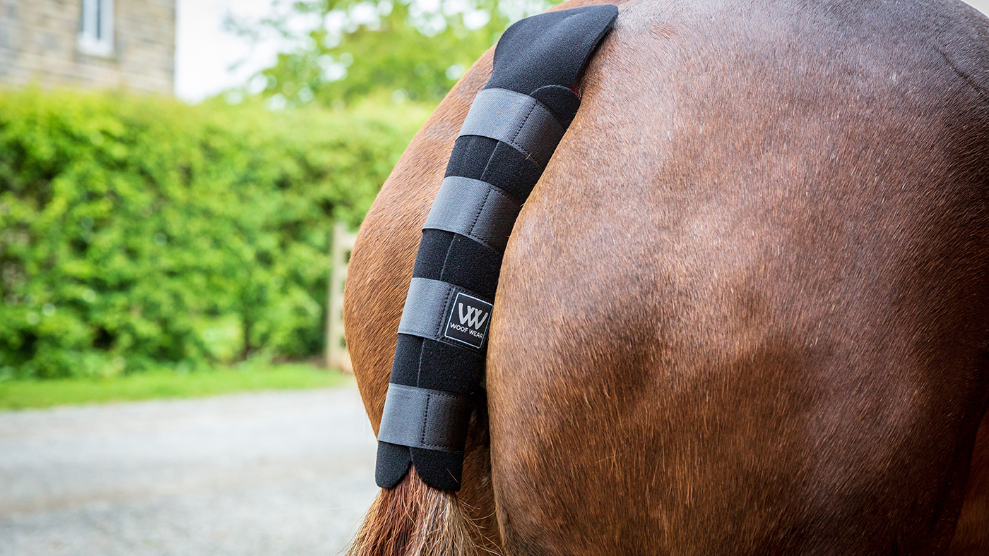 Best Tail Guards For Horses With And Without Tail Bags Horse Hound