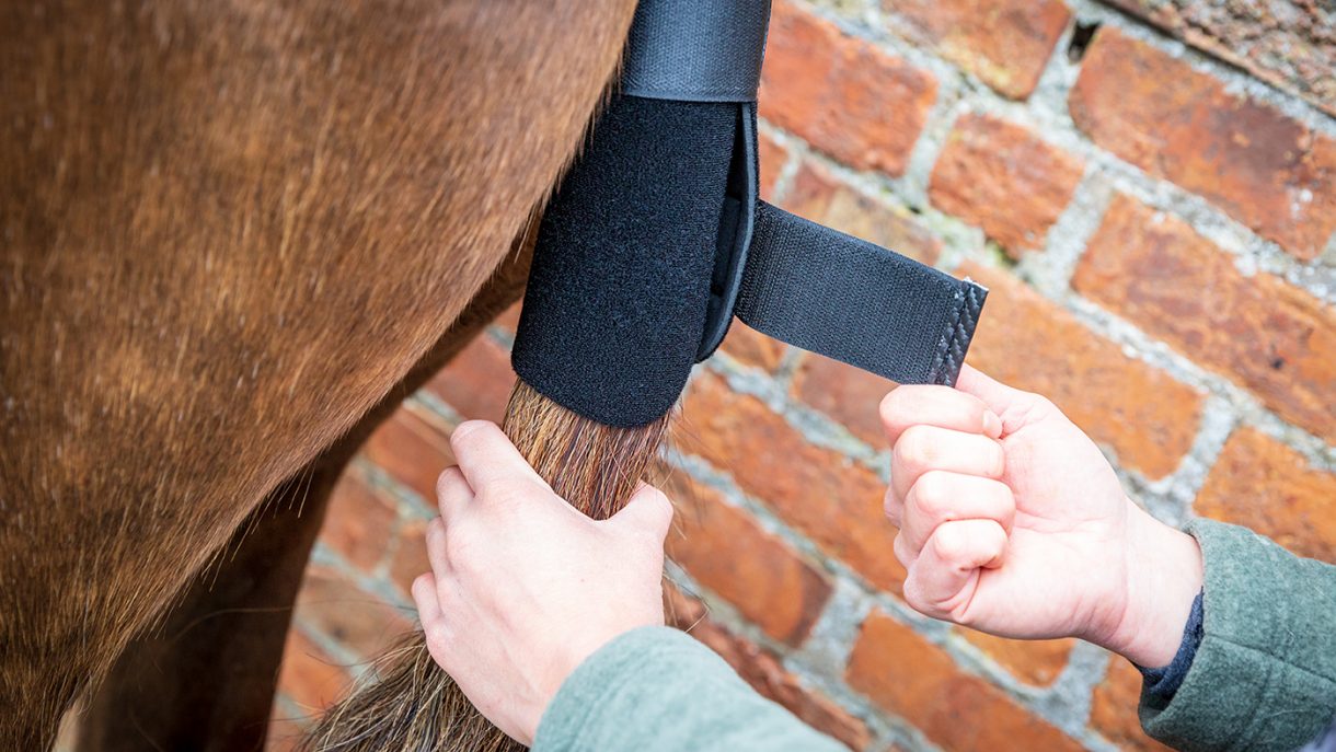 Woof Wear tail guard independent review | Horse & Hound