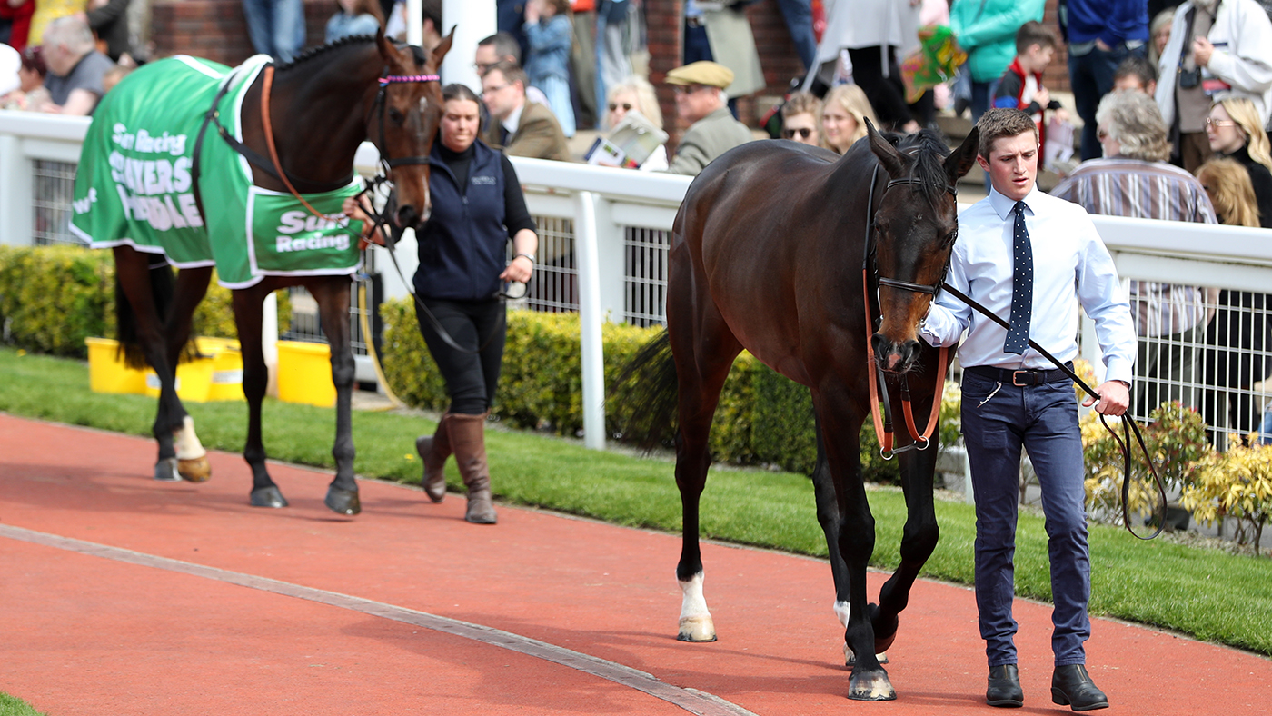 ‘A life well lived’: new welfare strategy to protect racehorses from ...