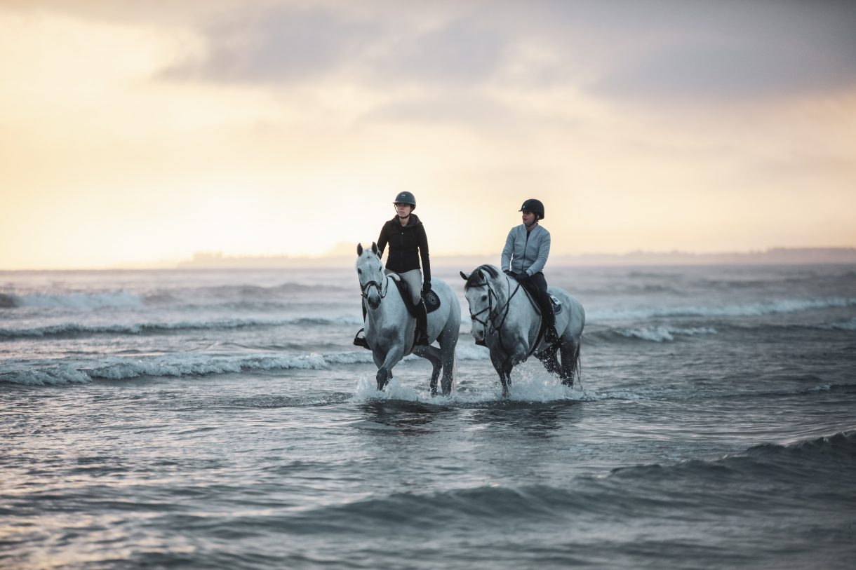 Camilla Bingham’s showjumping blog: how to choose the right stay away ...