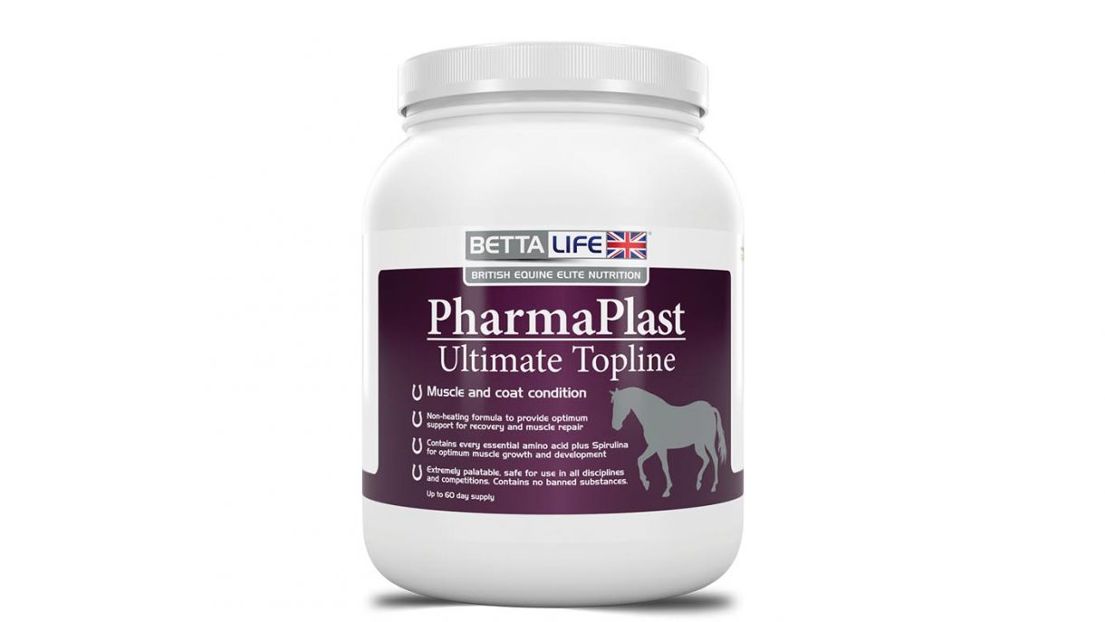 Vitamin and mineral supplements for horses | Horse & Hound